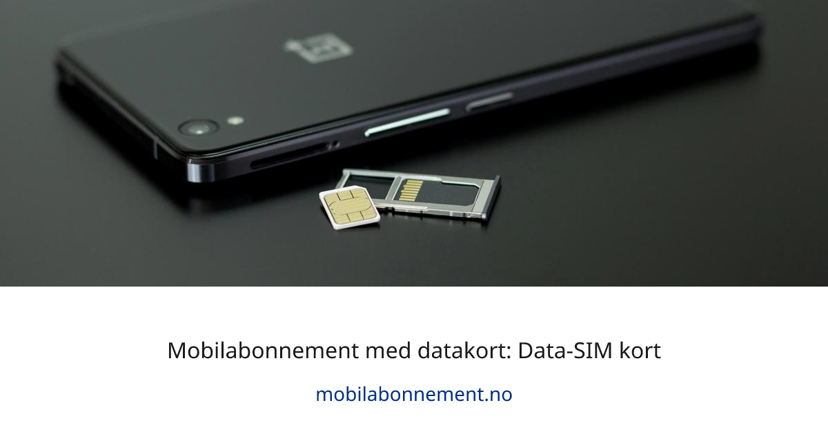 Mobilabonnement med datakort: Data SIM-kort